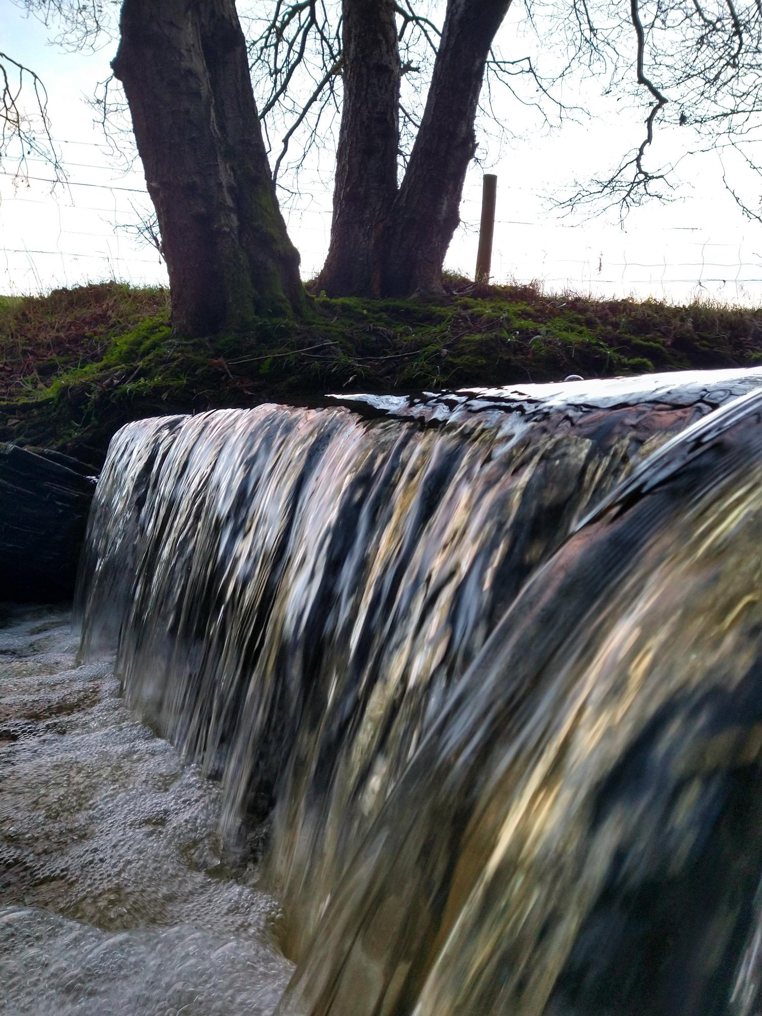 LTLS Freshwater Ecosystems (LTLS-FE) | UK Centre for Ecology & Hydrology