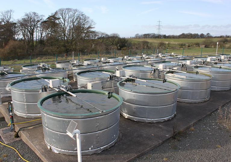 Unpicking the impacts of multiple stressors on freshwater ecosystems ...