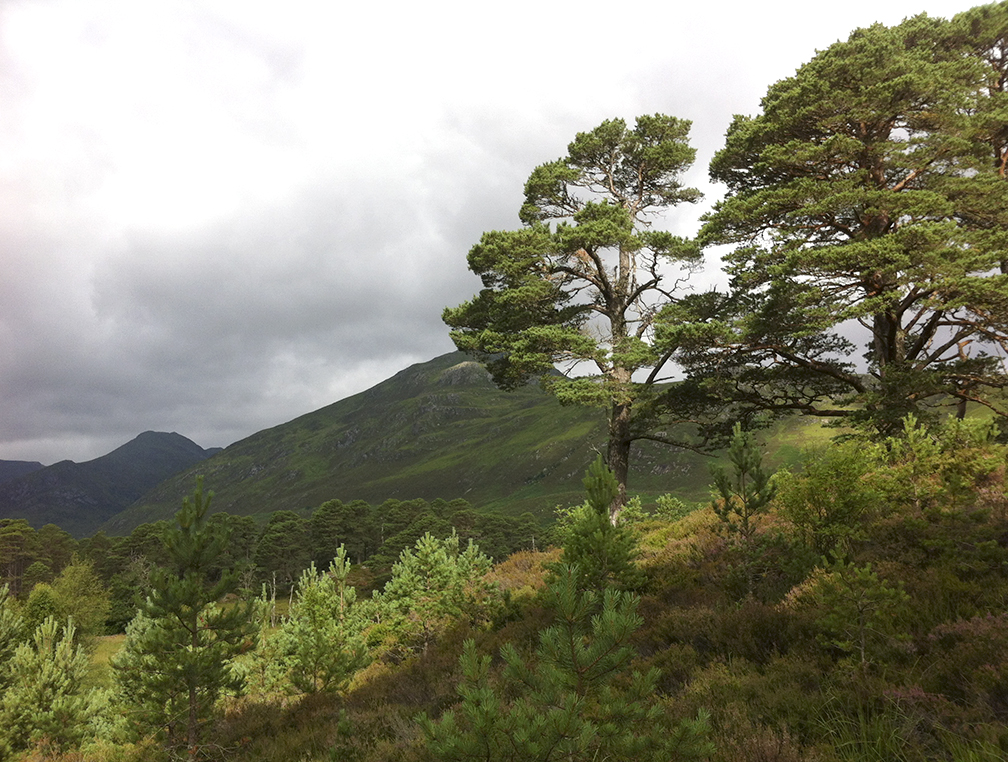 newLEAF | UK Centre for Ecology & Hydrology