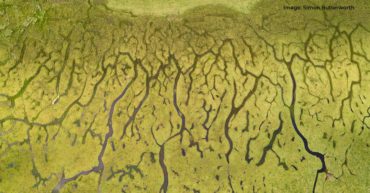 Our science | UK Centre for Ecology & Hydrology