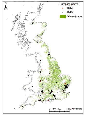 UKCEH Land Cover® plus: Crops | UK Centre for Ecology & Hydrology