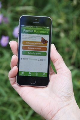 Instructions for the butterfly activity (citizen science & noticing ...