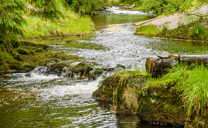 New research expands the potential of environmental DNA techniques in ...