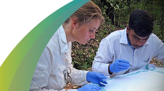 Working for UKCEH | UK Centre for Ecology & Hydrology