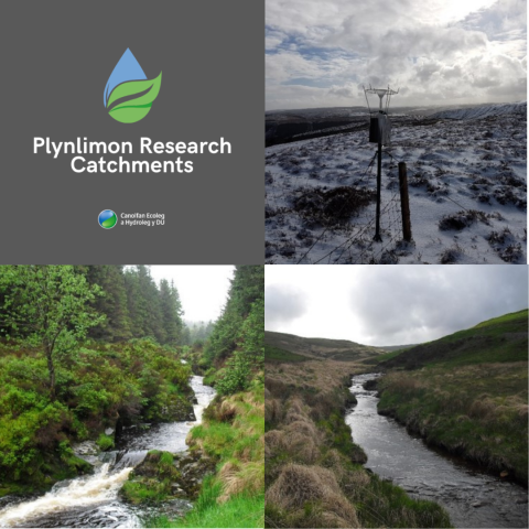 Plynlimon Research Catchments | UK Centre for Ecology & Hydrology